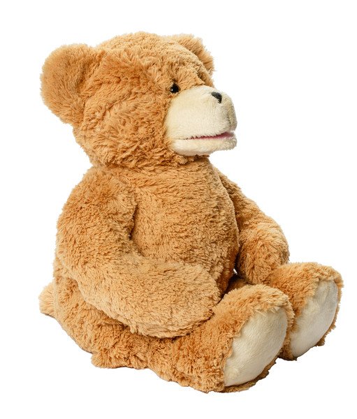 Sammy The Bear - Talking Educational Learning Tool | Bluebee Pals®